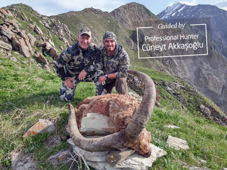 Hunts in Azerbaijan – Optimum Hunting