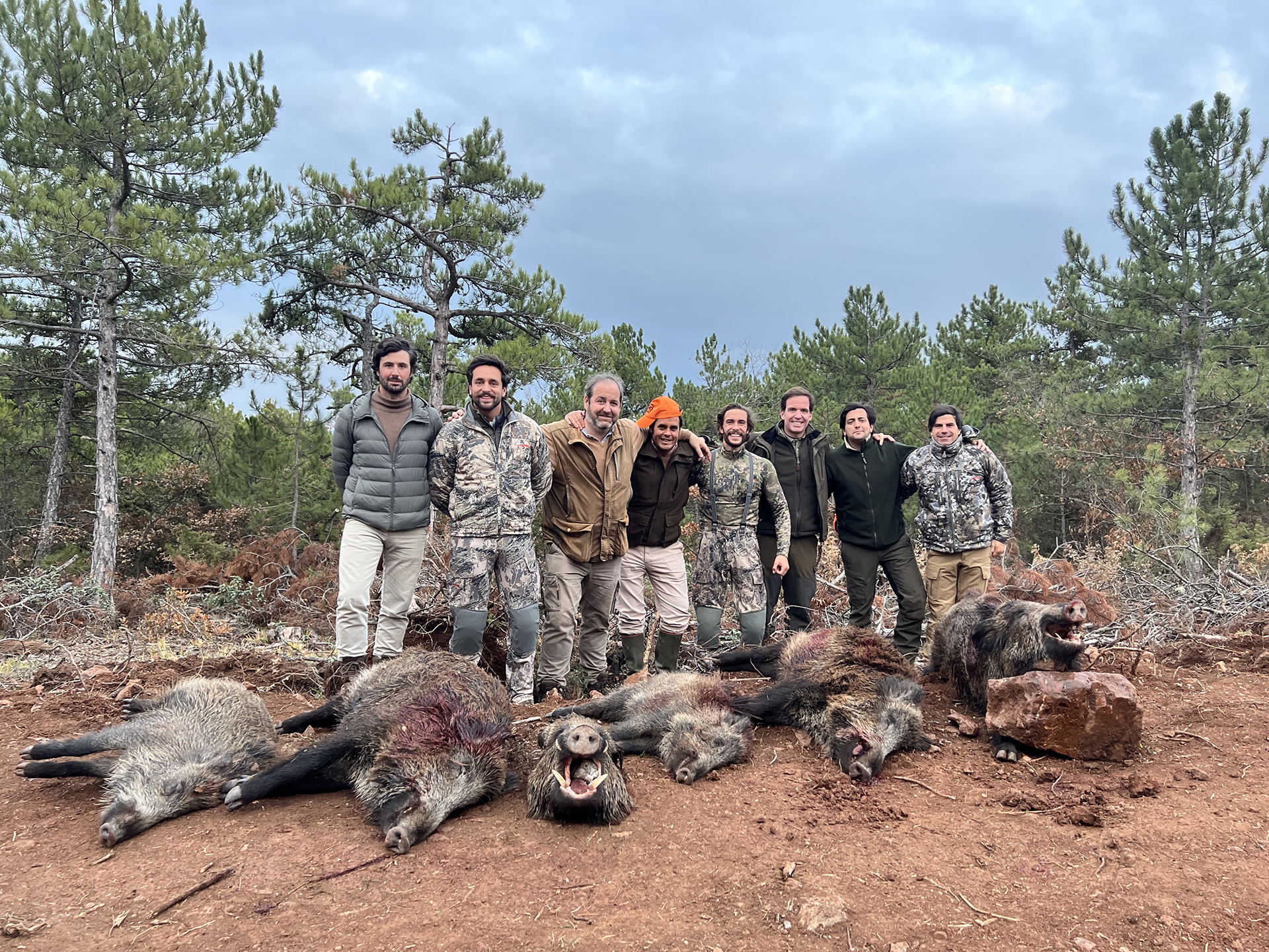 Wild Boar, Driven – Optimum Hunting